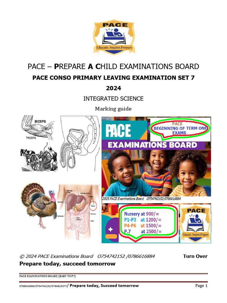CONSO SET 7 GUIDE P7 PACE EXAMINATION BOARD | PDF | Water | Pregnancy