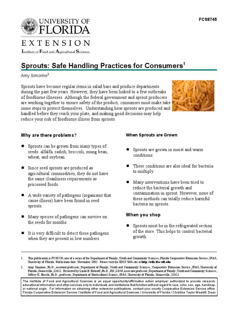 Sprouts | PDF | Foodborne Illness | Bacteria