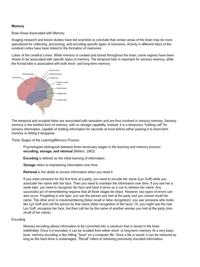 COGNITIVE-MIDTERM-REVIEWER-2024 FINAL | PDF | Recall (Memory) | Memory