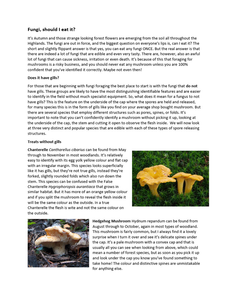 Fungi Should I Eat It | PDF | Mushroom | Mycology