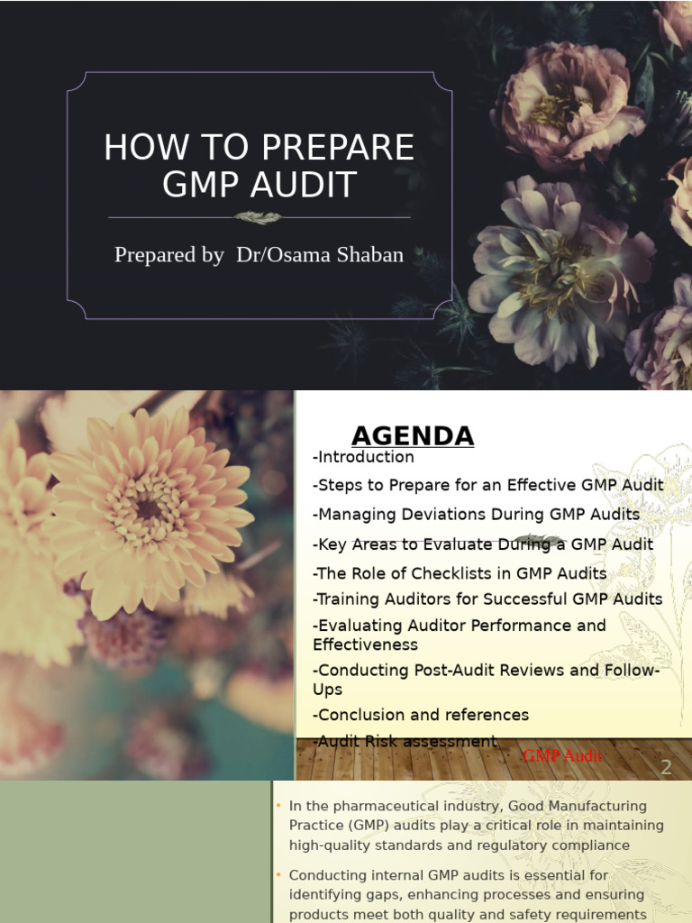 Effective GMP Audit Preparation Guide | PDF | Audit | Internal Audit