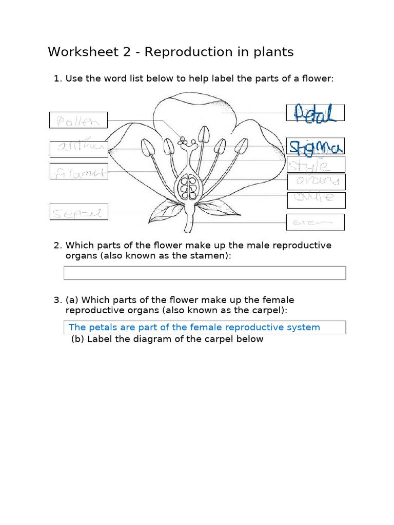 Understanding Plant Reproduction Basics | PDF