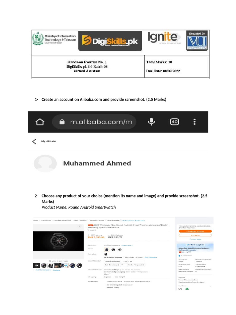 Virtual Assistant Exercise 03 | PDF