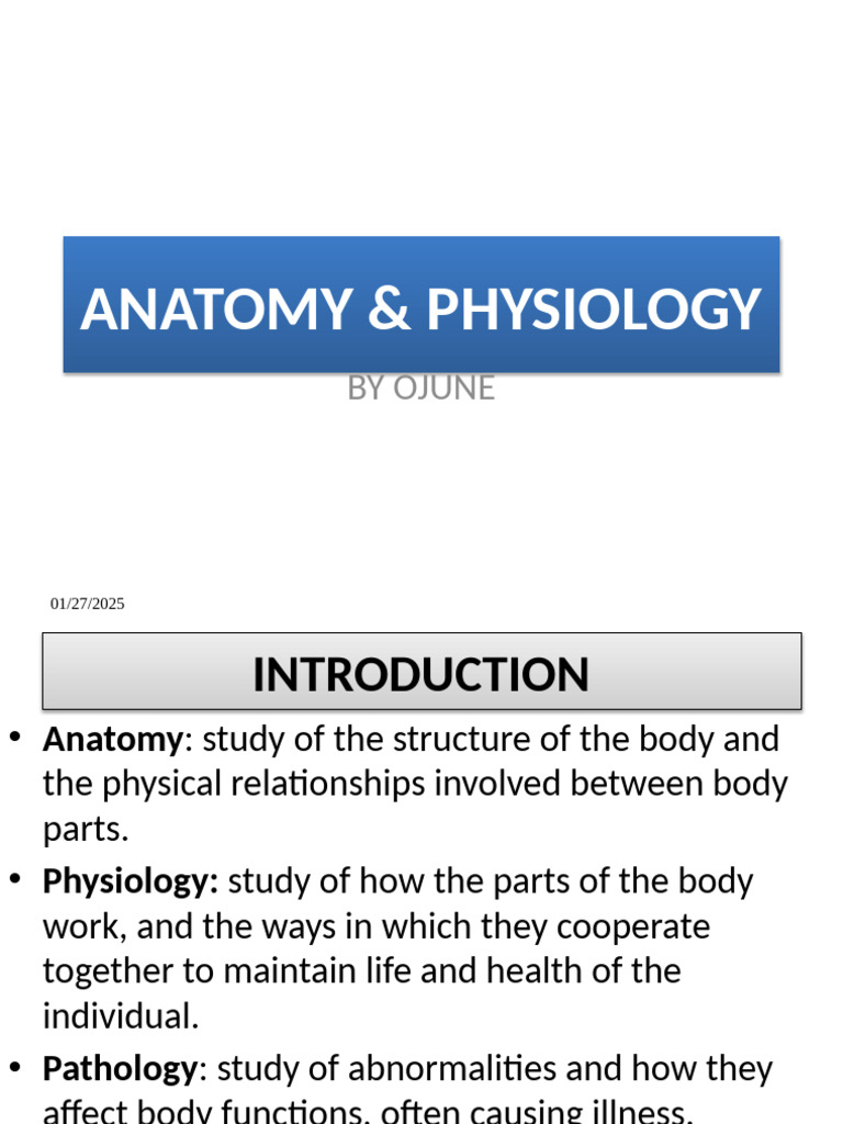 ANATOMY & PHYSIOLOGY Introduction | PDF | Anatomical Terms Of Motion ...