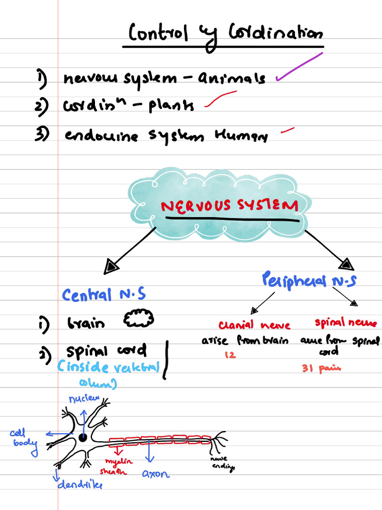 Dipankar Control Coordination | PDF