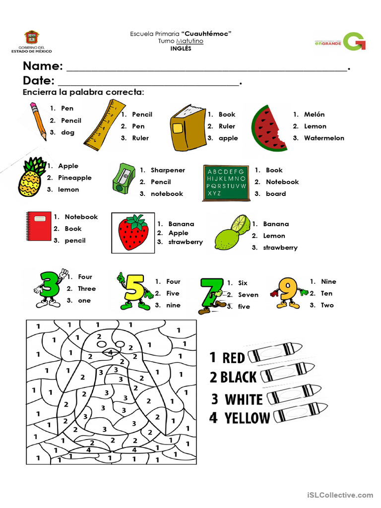 English Vocabulary Exercise for Kids | PDF