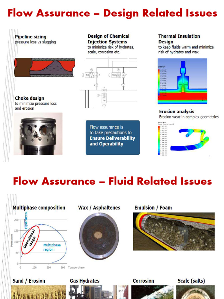 Flow Assurance–Design & Fluid Related Issues | PDF