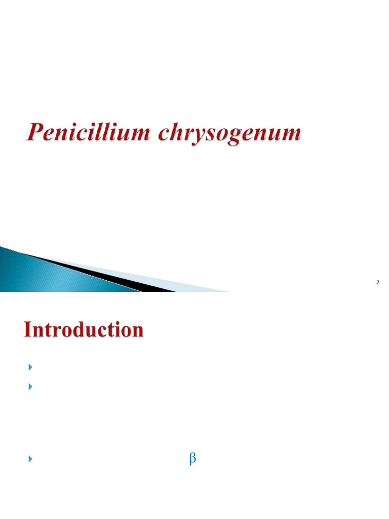 Penicillin Fermentation | PDF | Penicillin | Chemistry