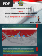 Modul Input Renstra Sipd-Ri | PDF