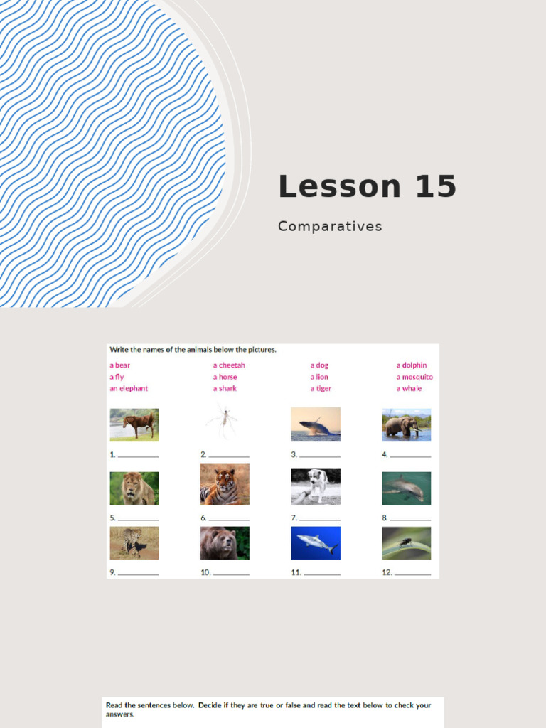 Lesson 15 - Comparatives | PDF