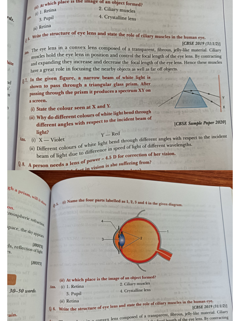 Human Eye Question | PDF