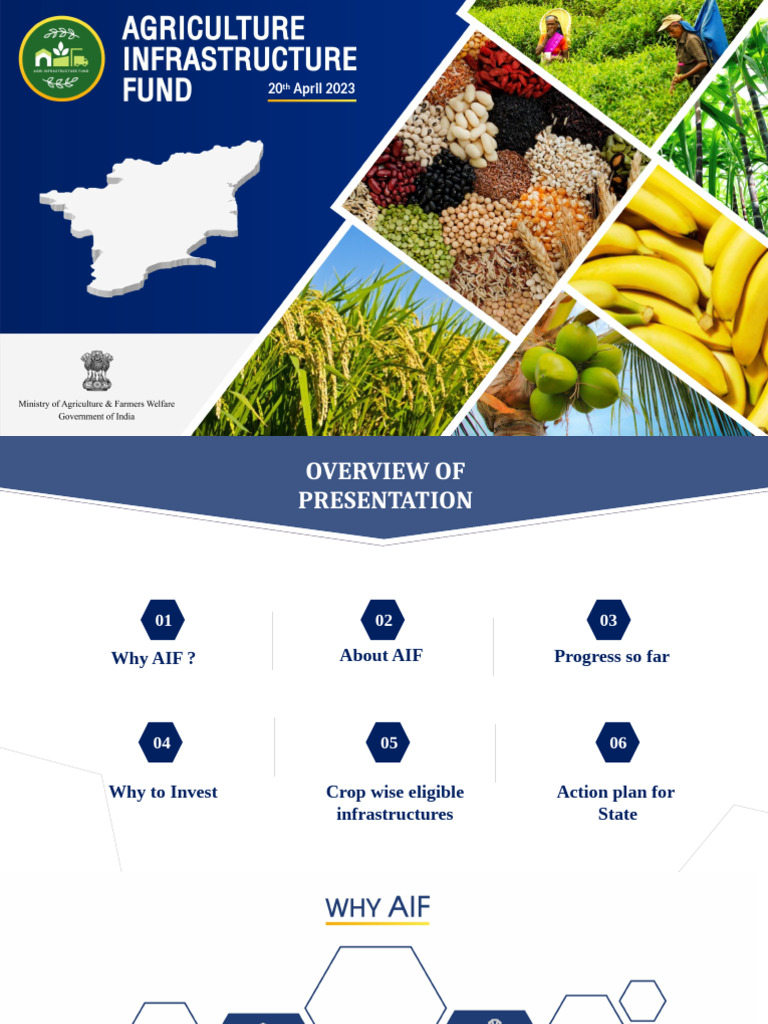 Agri Infrastructure Fund Overview | PDF | Agriculture | Crops