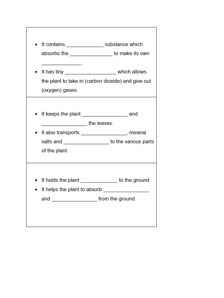 Activity Page 4 p4 | PDF