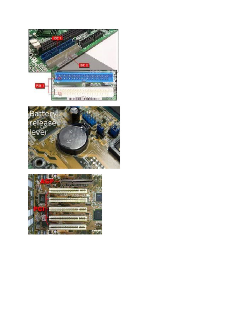 FSH | PDF