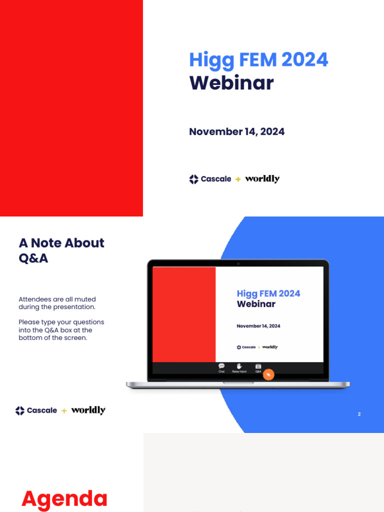 Higg FEM 2024 Webinar - November 14, 2024 | PDF