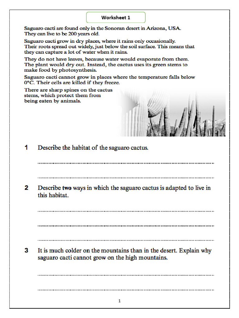Extracted pages from ecosystem Homework | PDF