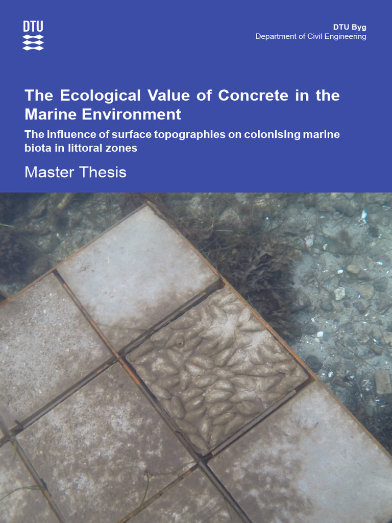 The Ecological Value of Concrete in The Marine Environment | PDF ...