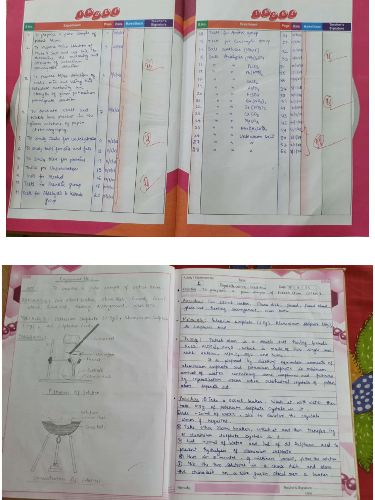 Chemistry Practical Work | PDF