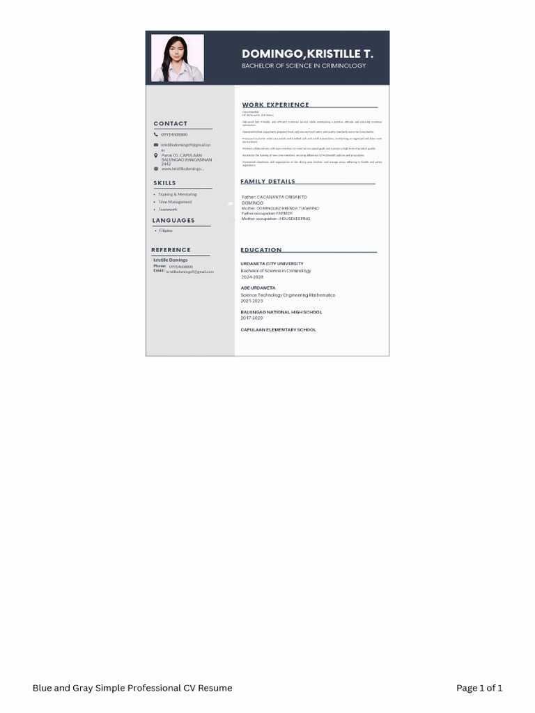 Blue and Gray Simple Professional CV Resume - 20250127 - 133311 - 0000 ...