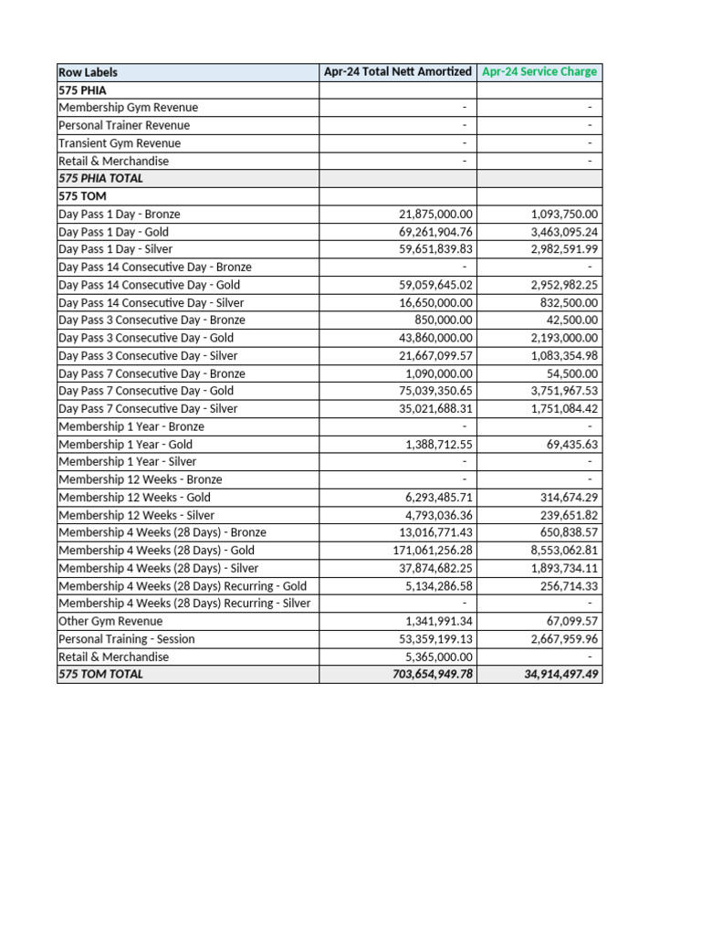 (575 Owner) Amortization Summary 2024 | PDF | Income | Income Statement