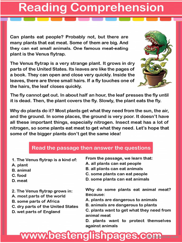 The Flytrap_ Reading Comprehension | PDF