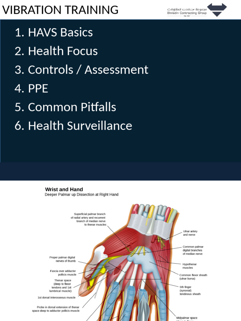 HAVS Training Overview for South Wales | PDF