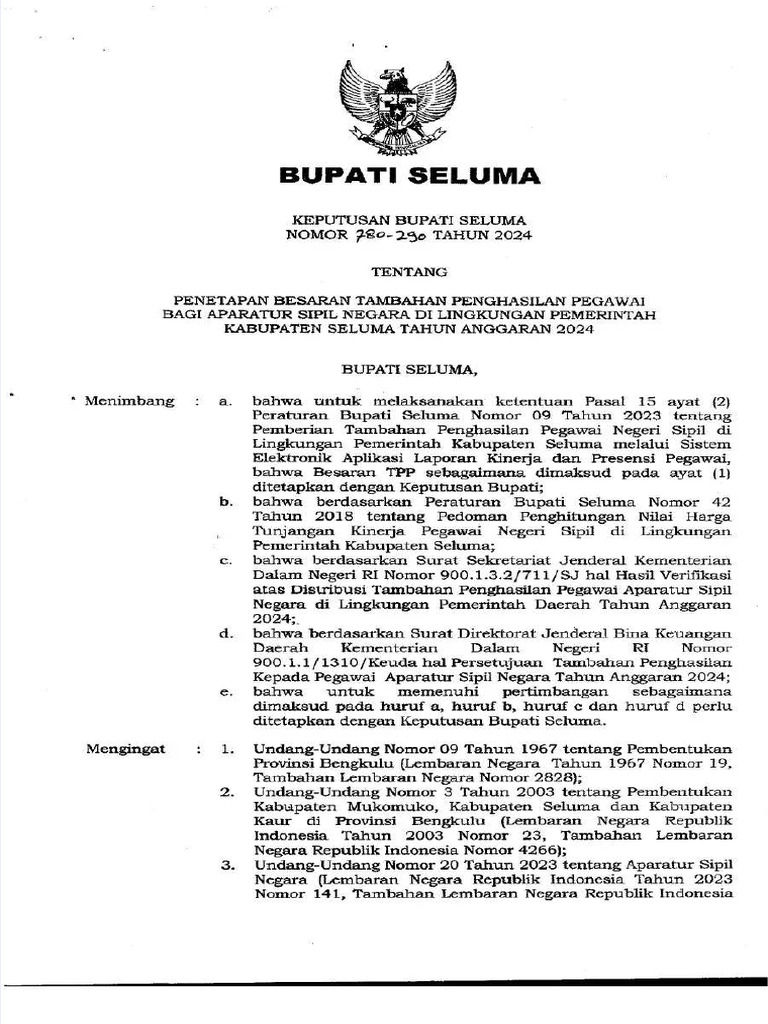 Besaran TPP Kab. Seluma TA 2024 | PDF