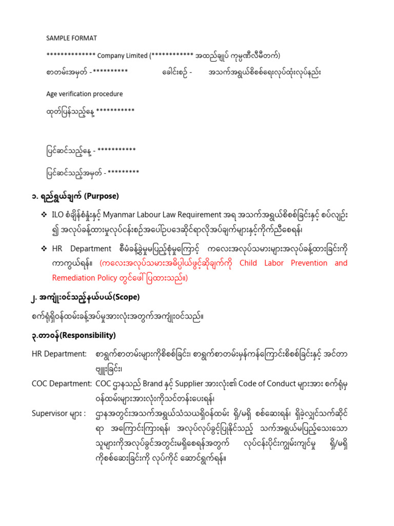 SAMPLE FORMAT - Age Verification Procedure | PDF