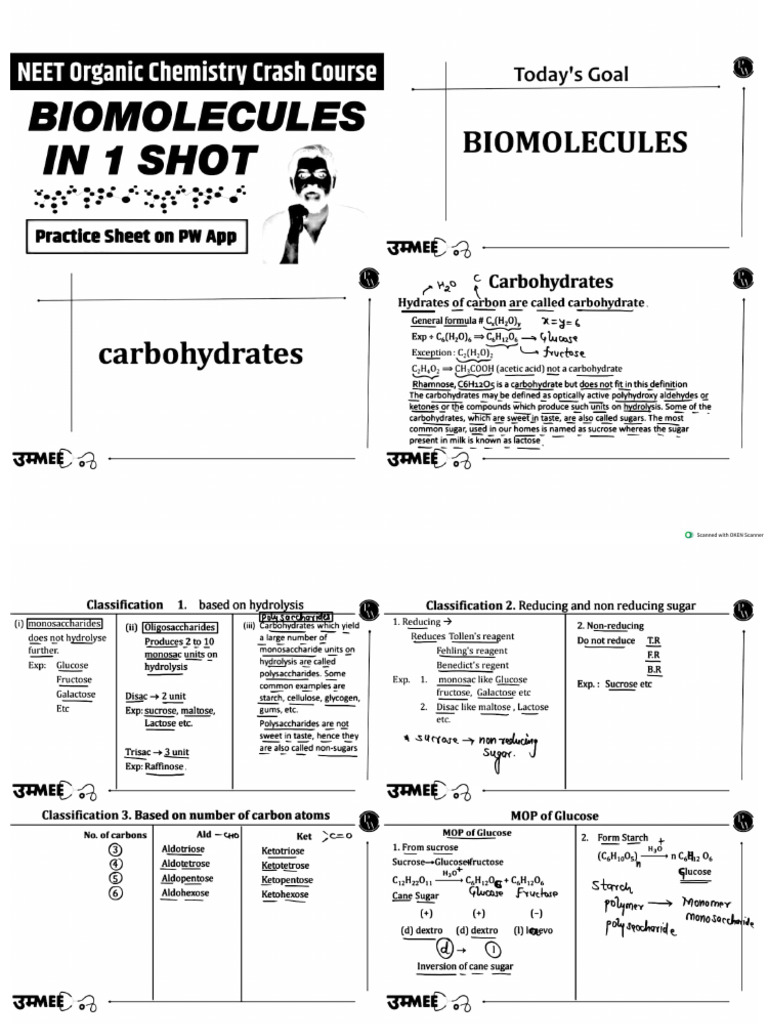 28 Biomolecule Chem. | PDF