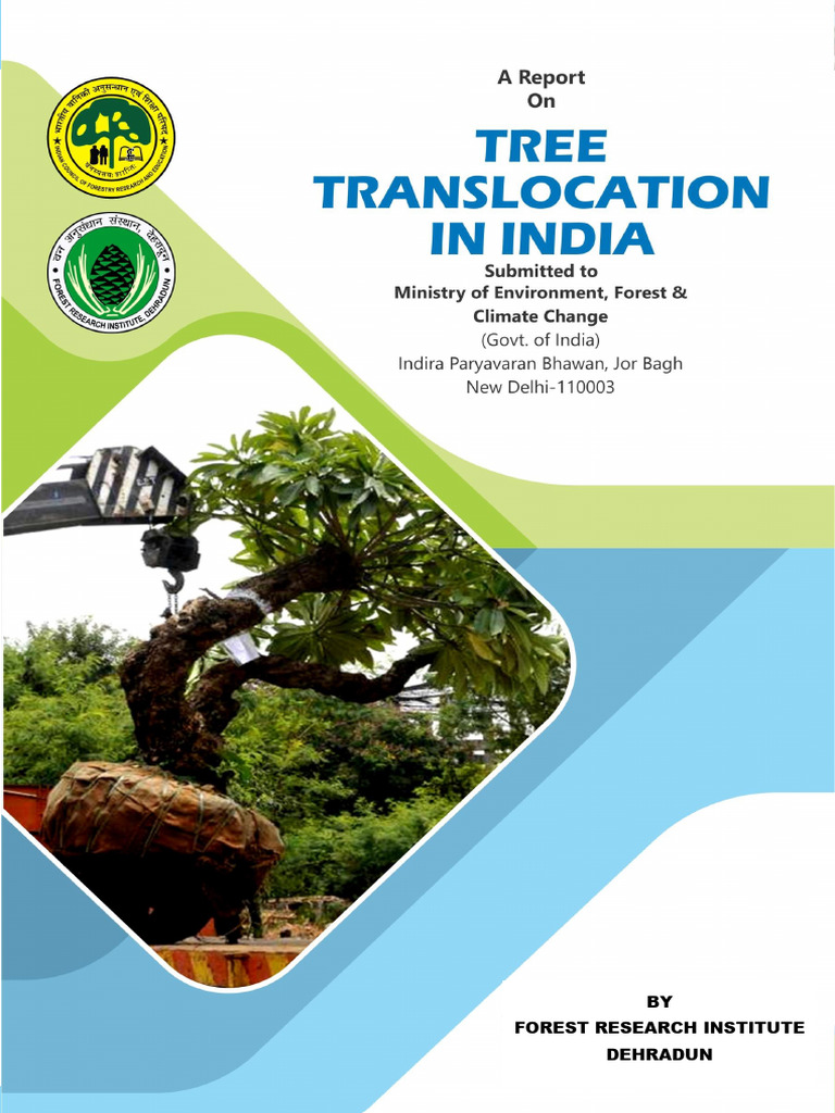 Report_tree-Translocation | PDF | Pruning | Root