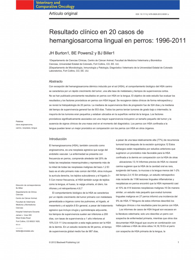 Hemangiosarcoma Lingual en Perros | PDF | Cáncer | Metástasis