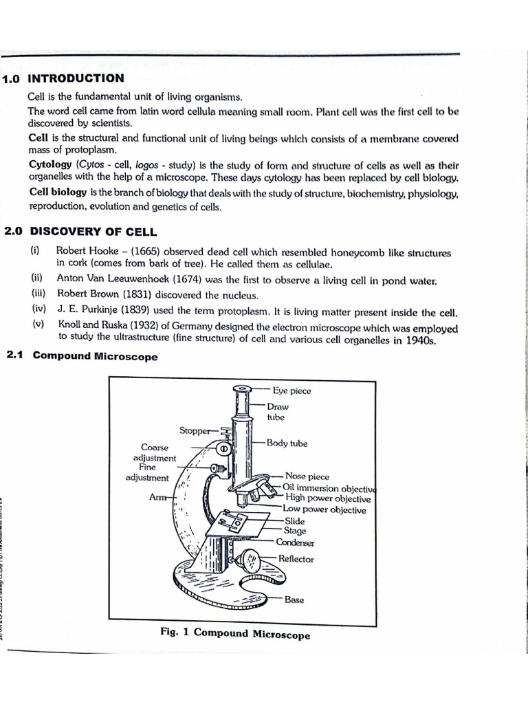 Cell | PDF