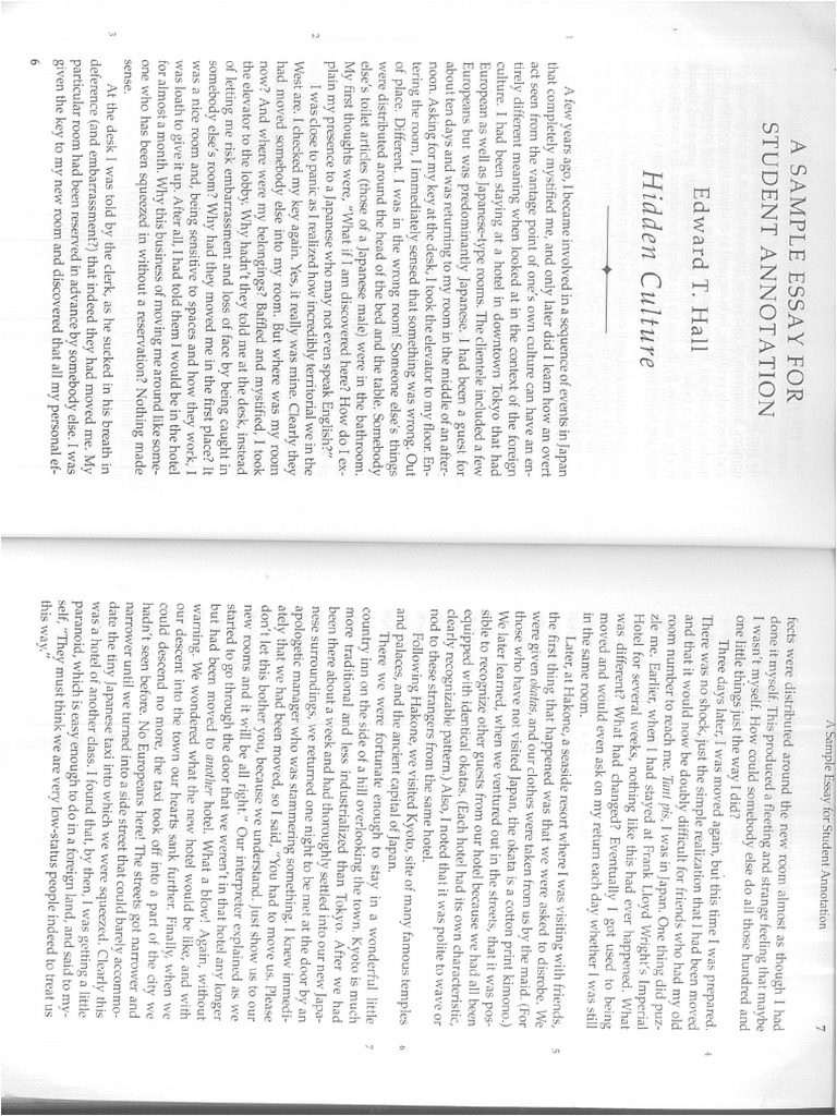 Hidden Culture - Hall | PDF