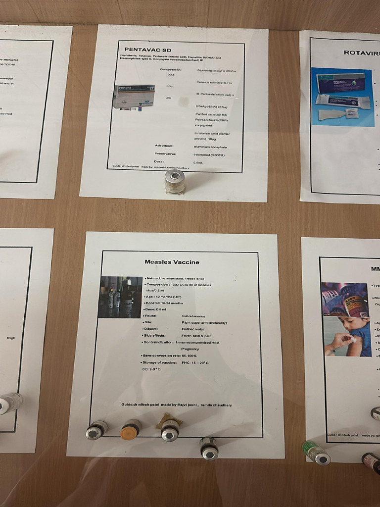 Gallery 20250127 160935 | PDF