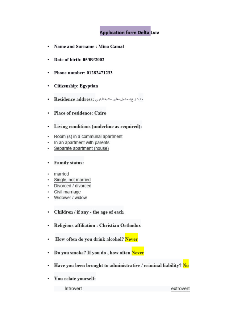 APPLICATION FORM Eng Fixed - Mina Gamal - Sales Manager | PDF