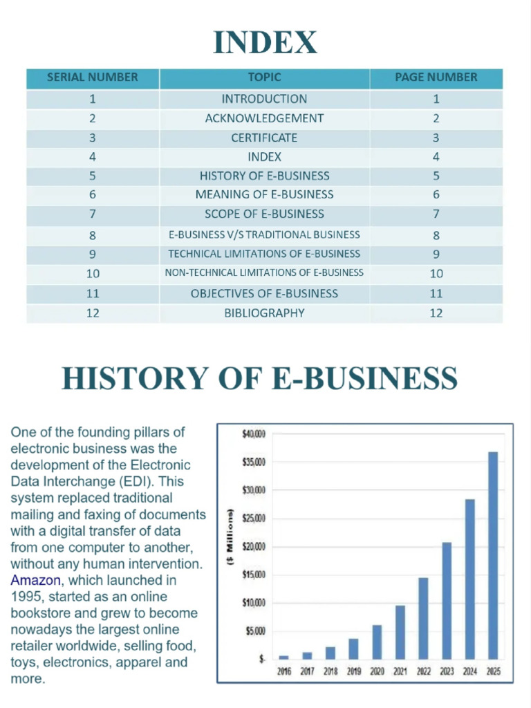 Project on e-business | PDF | Electronic Business | Computing