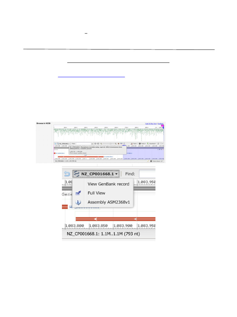 BBL434 Lab2 Assignment | PDF