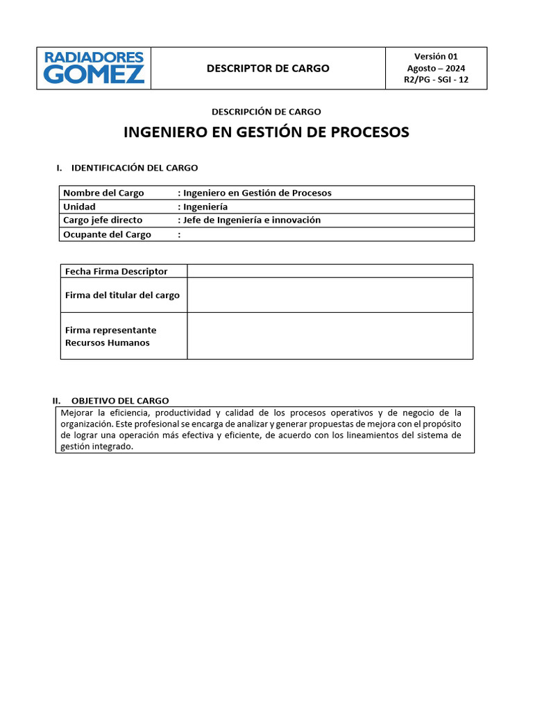 Descriptor de Cargo, Ingeniero en Gestión de Procesos | PDF | Business