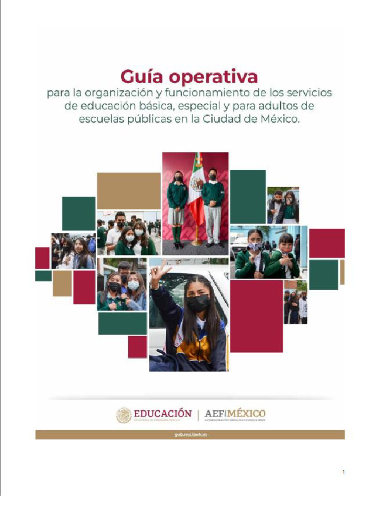 Extracto Guiaoperativa | PDF