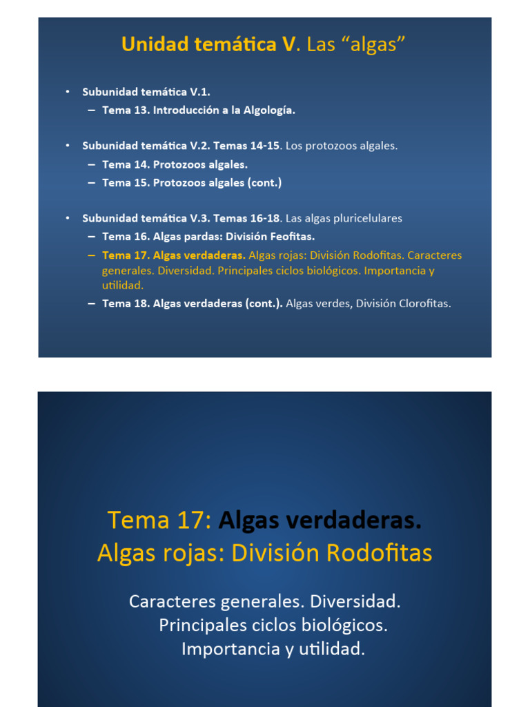 Tema 17_16 | PDF | Algas | Plantas