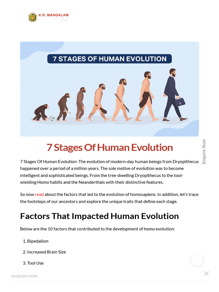 7 Stages of Human Evolution - Discoveries and Special Traits | PDF ...