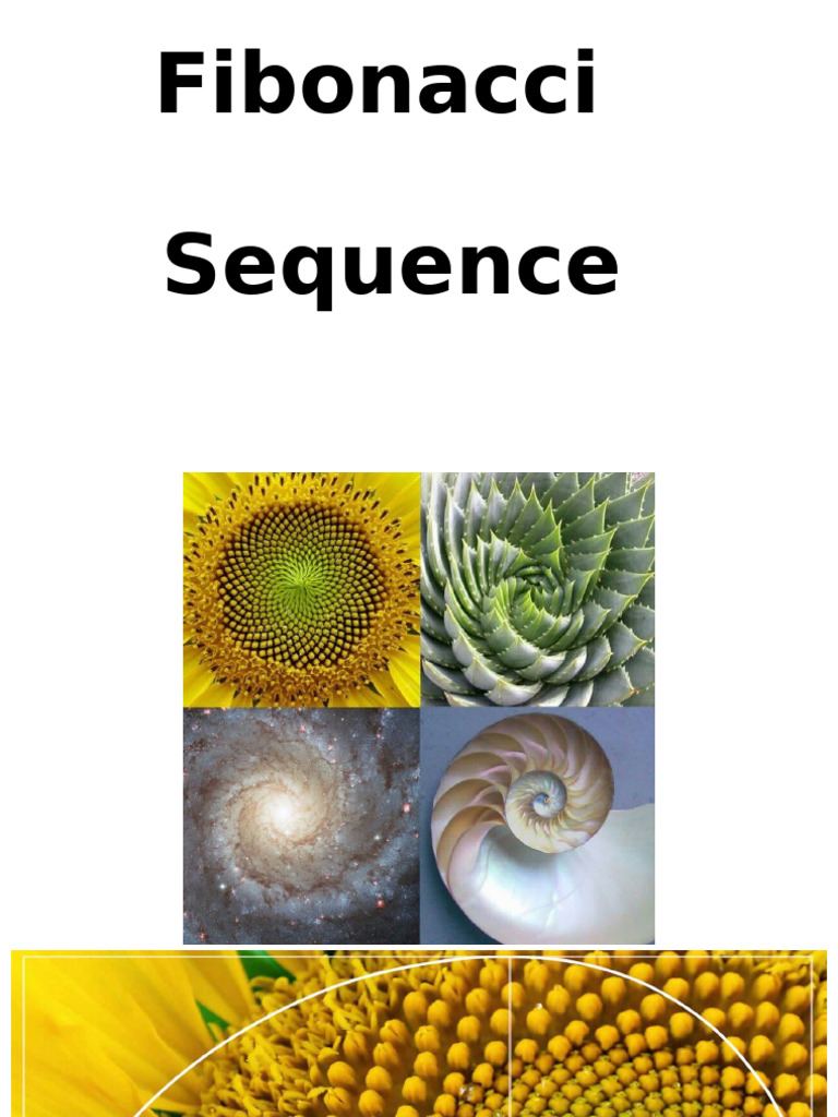 Fibonacci Sequence | PDF | Elementary Mathematics | Numbers