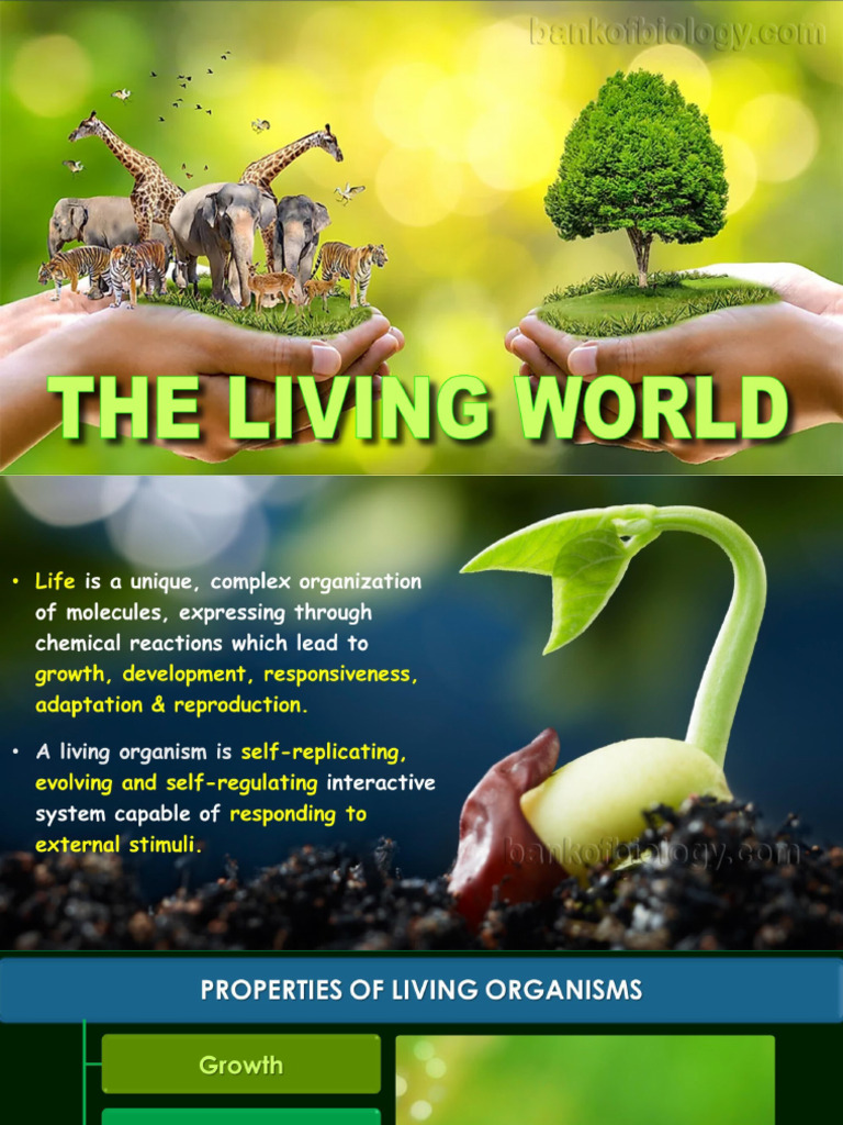 1 The Living World Class 11 | PDF