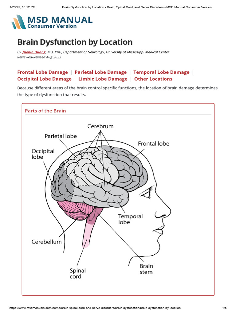Brain Dysfunction by Location - Brain, Spinal Cord, and Nerve Disorders ...