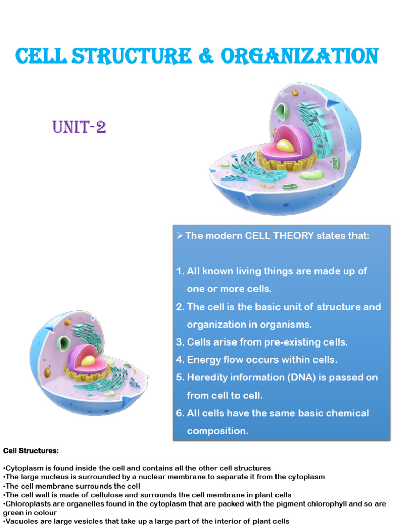 Unit-2 Cell Structure & Organization - Notes | PDF | Cell (Biology ...