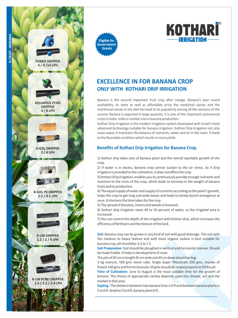 Kothari Drip Irrigation for Bananas | PDF | Fertilizer | Soil