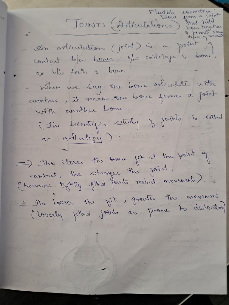 Hap Joints Notes | PDF