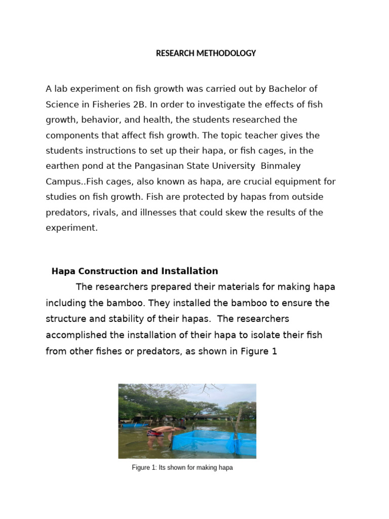 Hapa Report Group 2 | PDF | Water Quality | Water