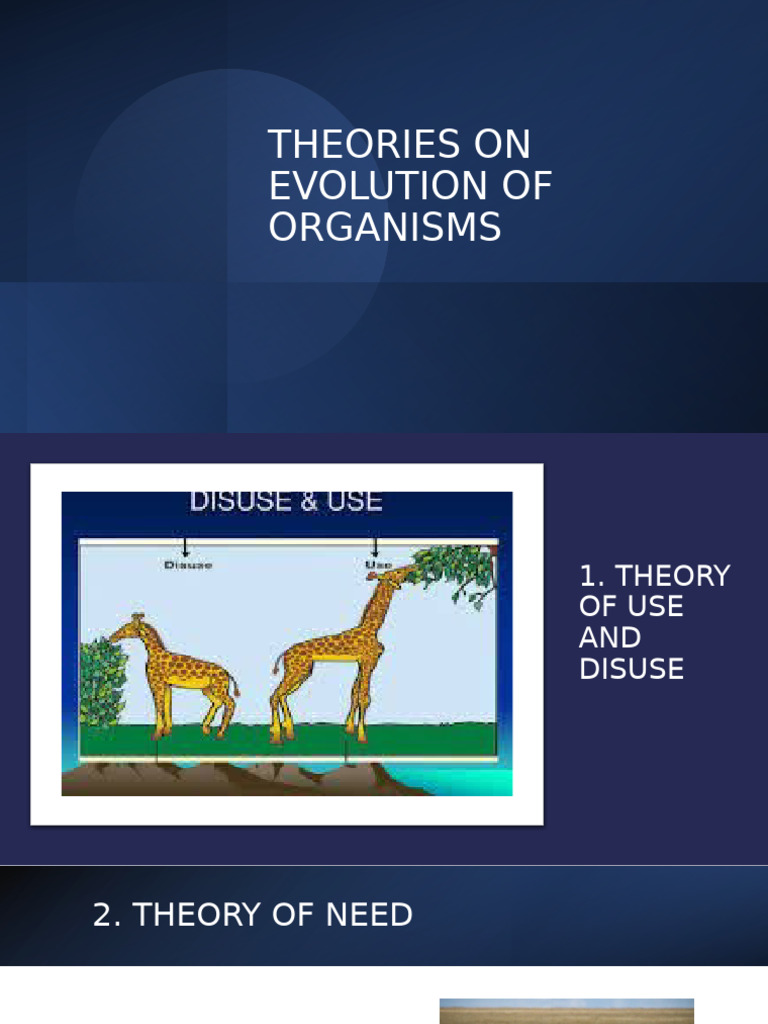 Gen Bio2 l3 Theories on Evolution of Organisms | PDF