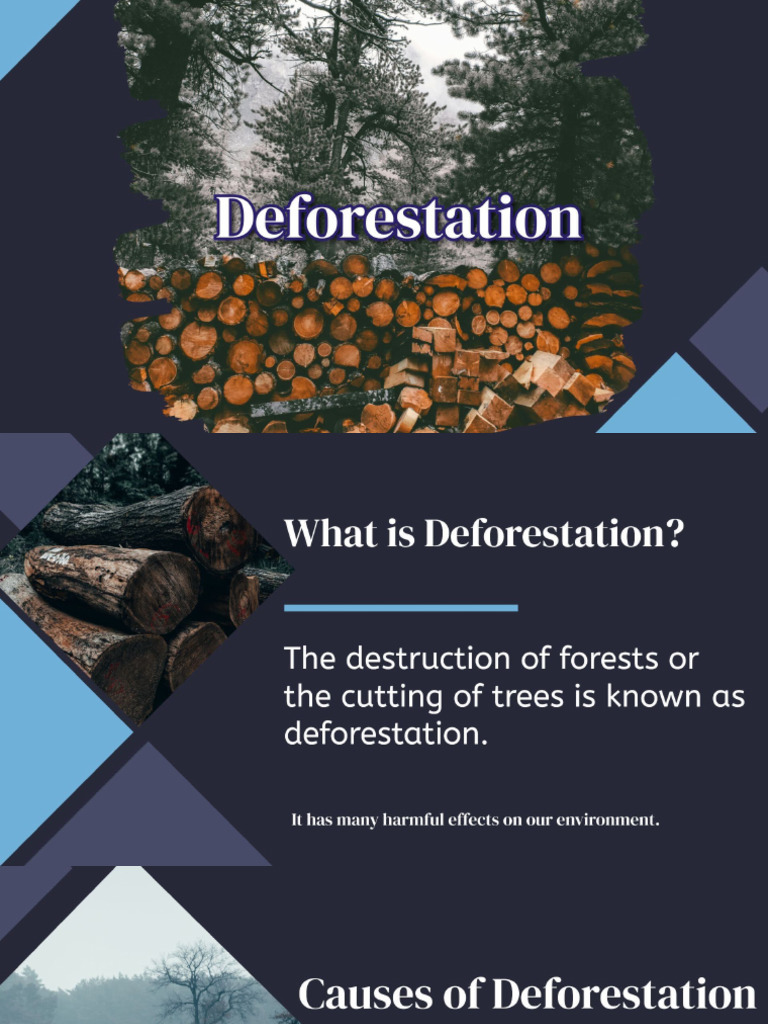 Deforestation | PDF